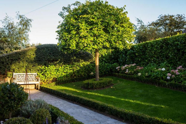 Modern Country Garden, Lymm | Alexandra Froggatt Design